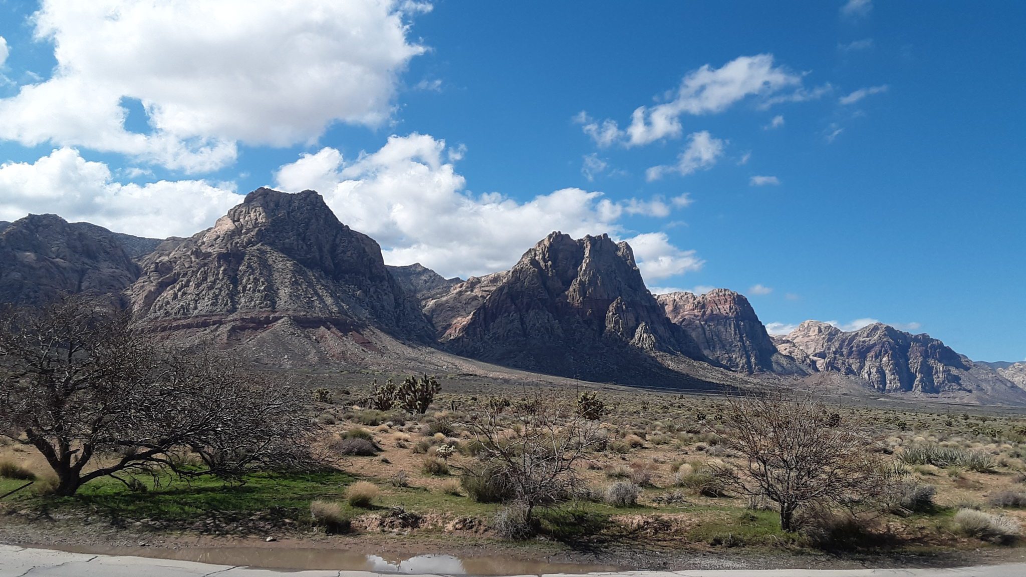 The Reserve at Red Rock Canyon- Las Vegas Top Architect firm